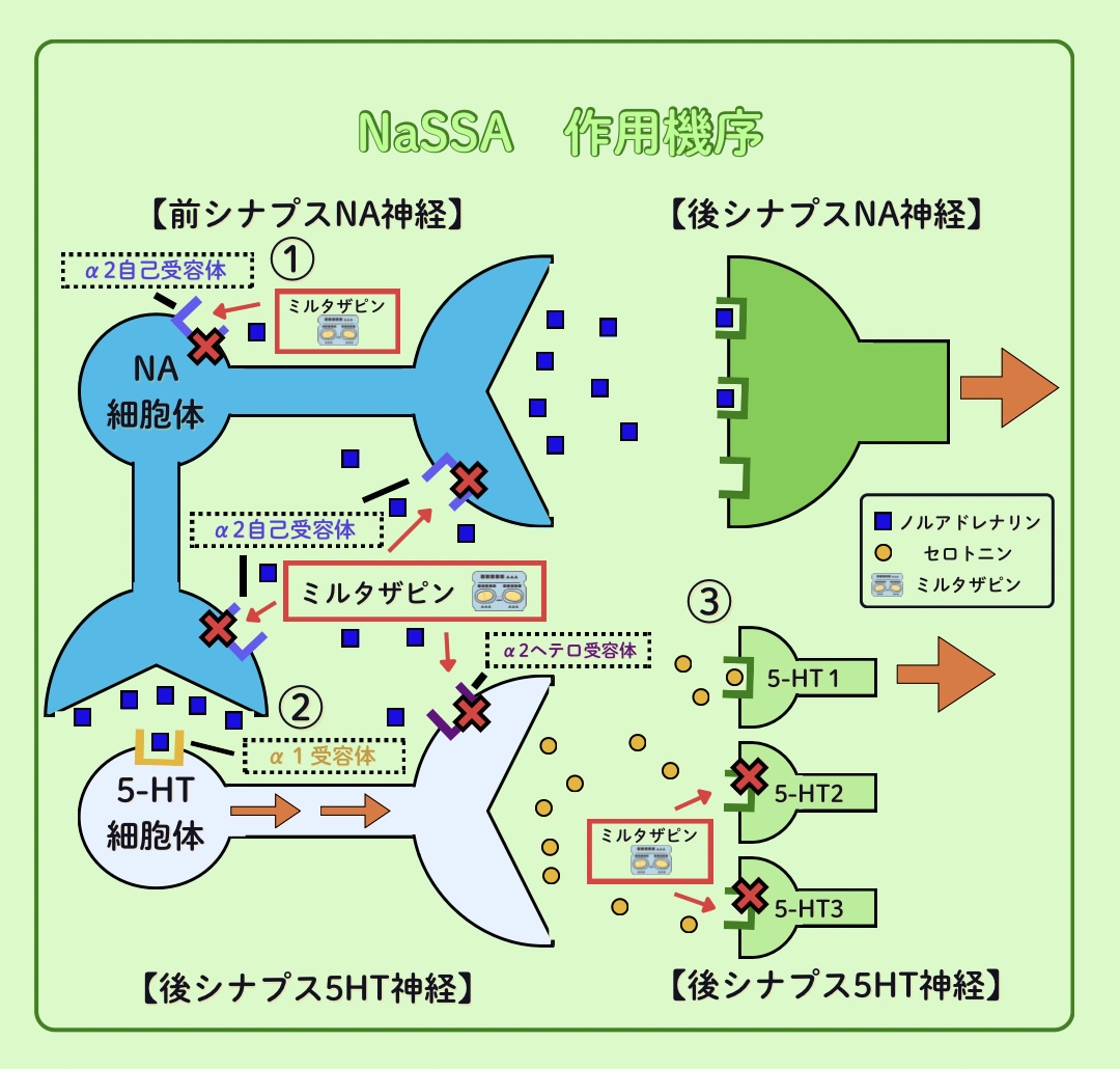 【薬剤師必見！】抗うつ薬 NaSSA リフレックス・レメロン（ミルタザピン）の特徴をわかりやすく解説！解説！